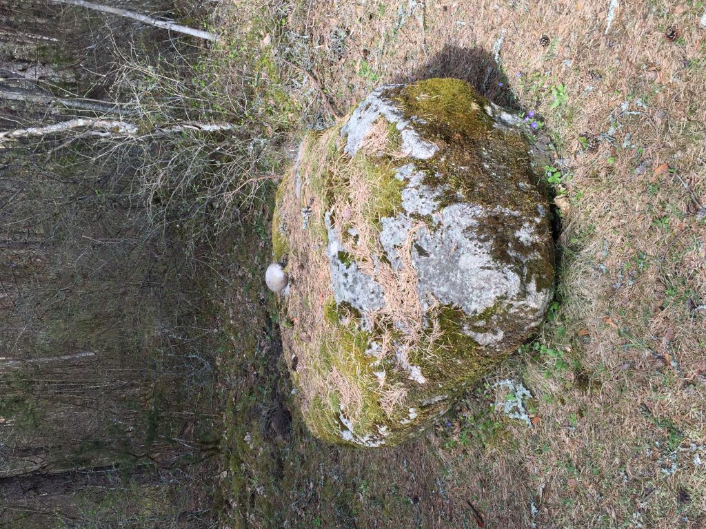 Pagan Faith, Accelerated Technology: A Walk on Estonia's Muhu Island ...