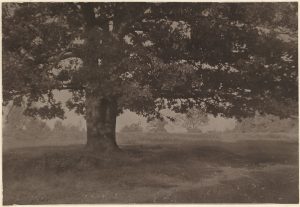 Jan Bułhak – the Man Who Captured Turn-of-the-Century Vilnius – Deep Baltic