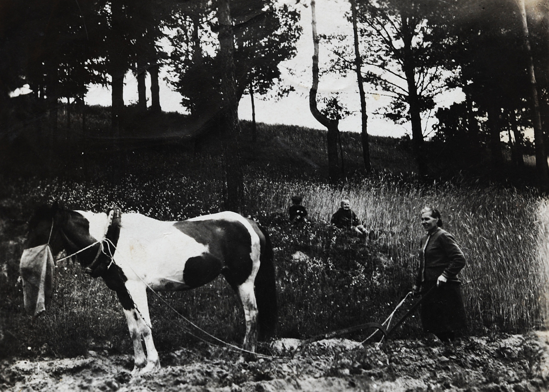 Imagining Lithuania’s Wolf Children: An Interview with Alvydas Šlepikas ...